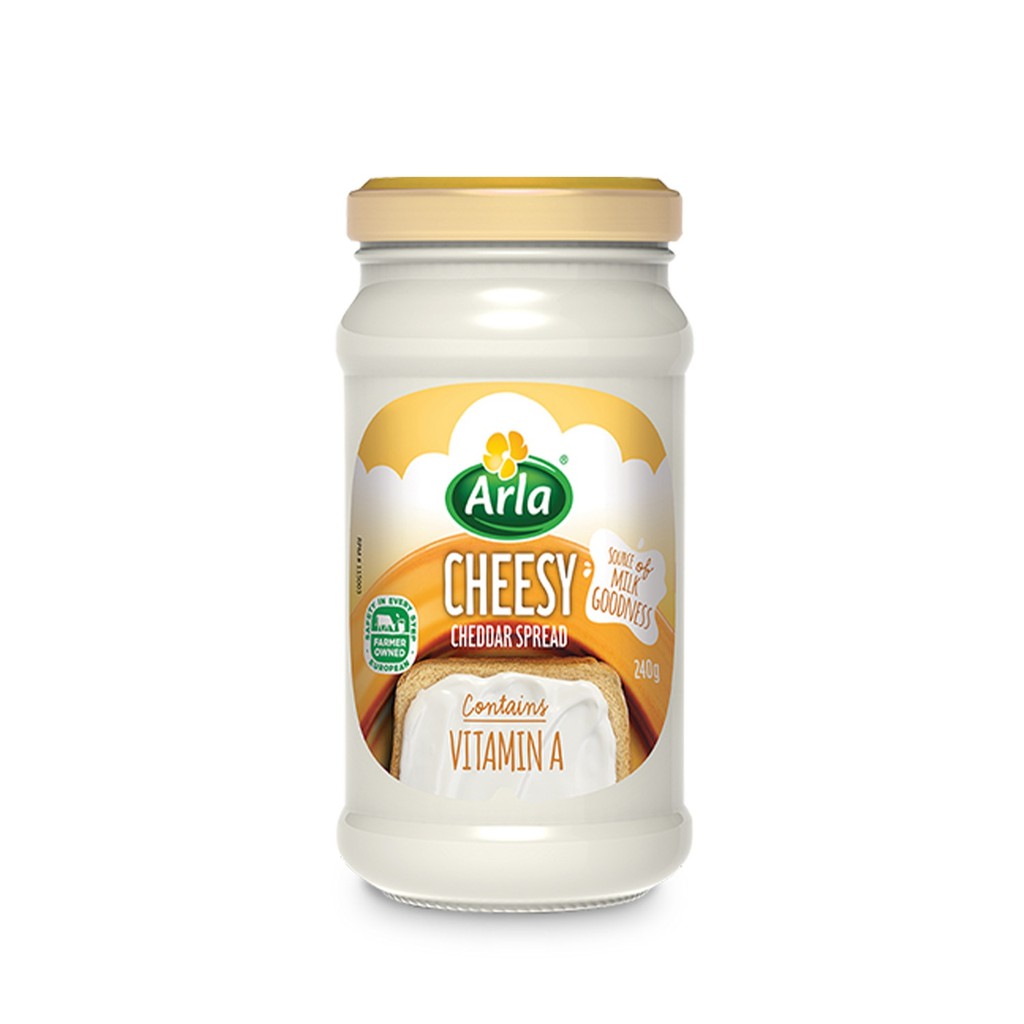 Arla Cheesy Spread Cheddar 240g | Shopee Philippines