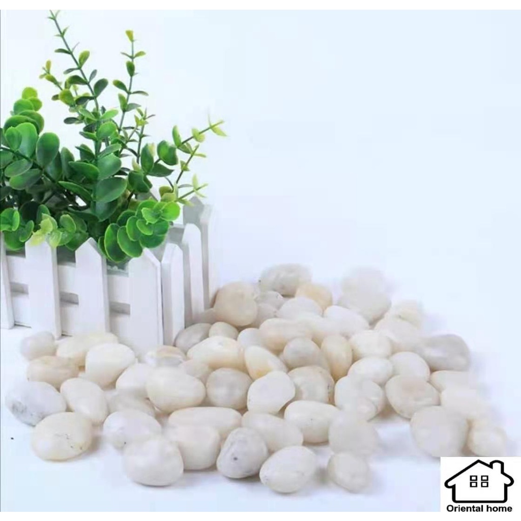 Decorative Pebbles For Plants, Landscaping, Vase, Garden For Decorative ...