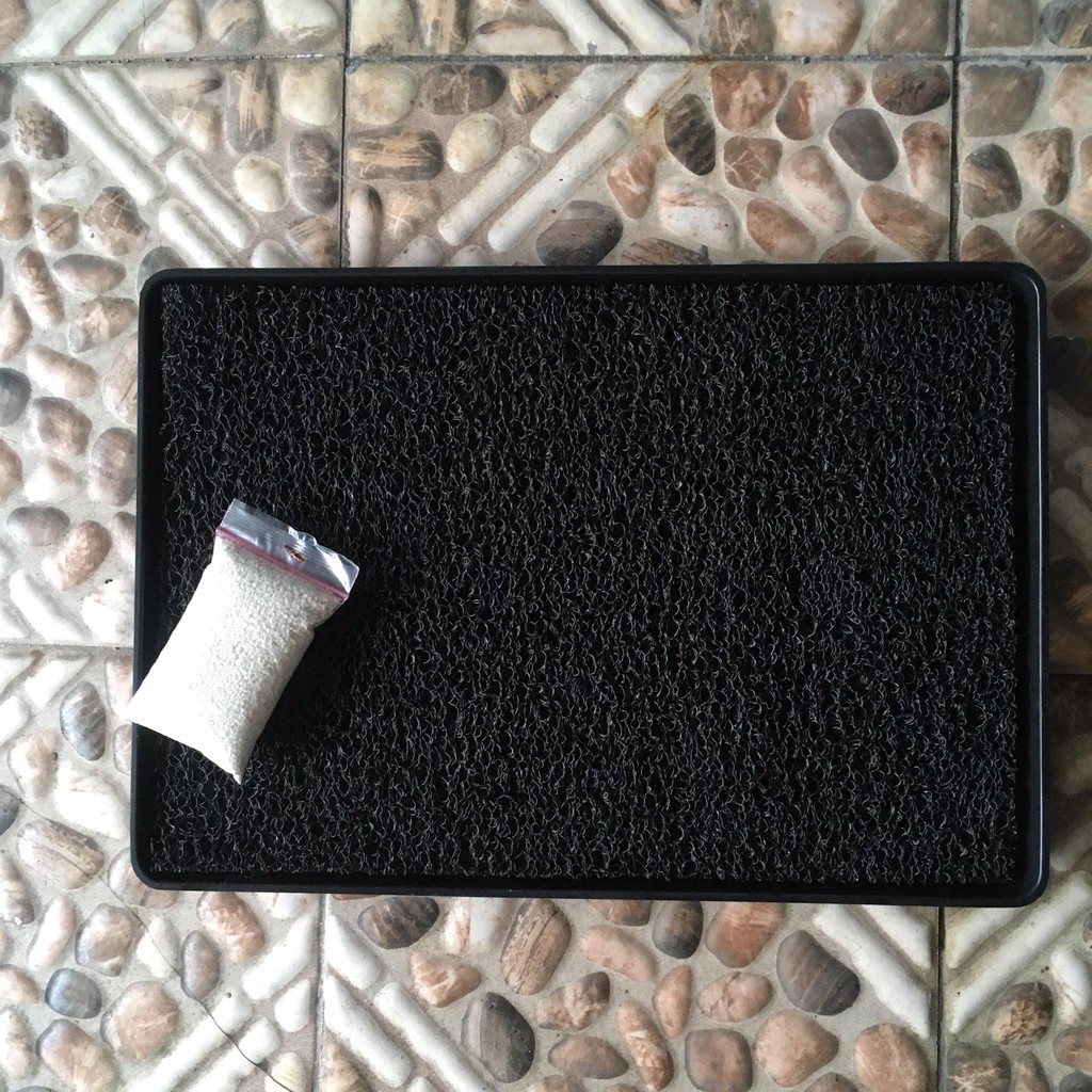 ANTI-SLIP DISINFECTING FOOT MAT SET WITH FREE GRANULES FOR CAR AND ...