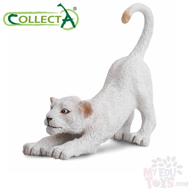 White Lion Cub Stretching - Collecta 88550 Wild Life Animal Action ...