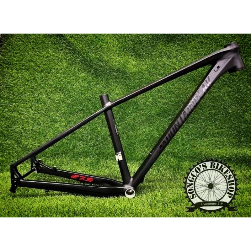 MOUNTAINPEAK EVEREST PRO MTB FRAME TRHU AXLE 29 & 27.5 | Shopee Philippines