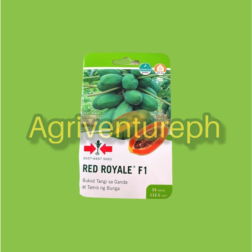 Red Royale F1 Papaya 15 seeds (East West) | Shopee Philippines