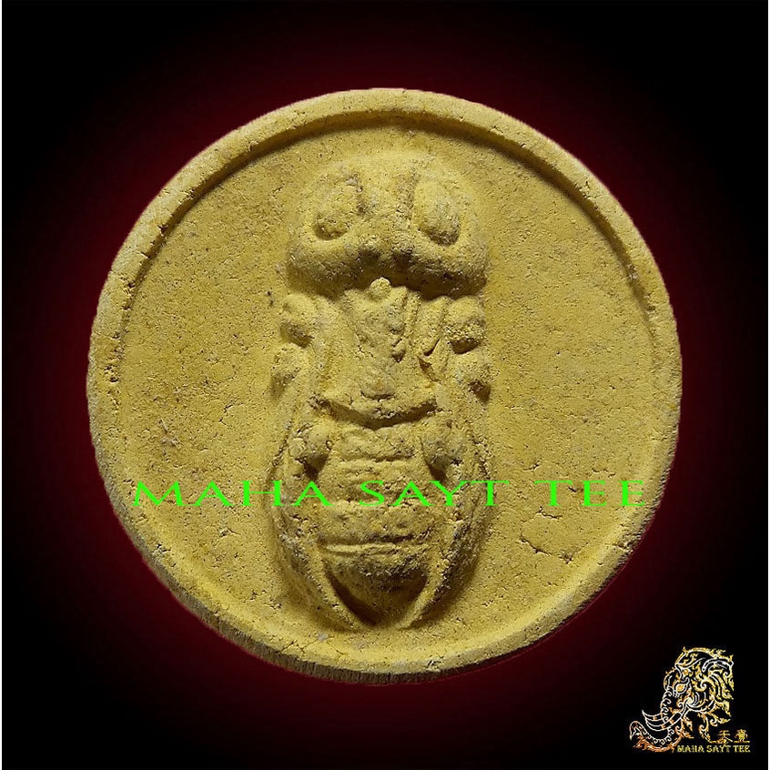 Lucky Bee Master LP Jue/LP phaya to (lucky wasp) luang phor jued ...