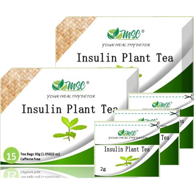 Insulin plant MSC herbal tea P189 | Shopee Philippines