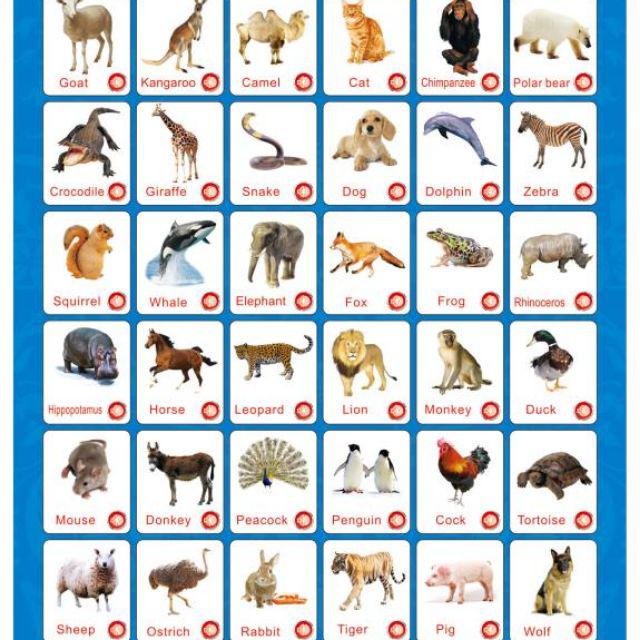 Talking Educational Wall Sound Chart ABC Alphabet / Numbers ...