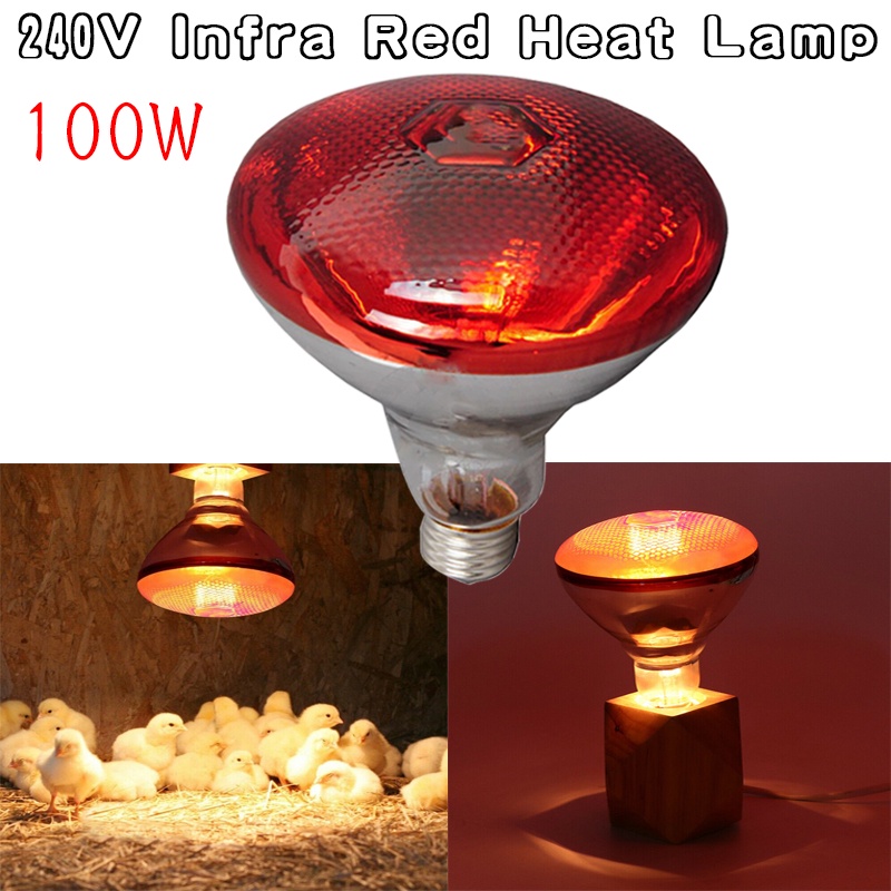 HOT Preservation Heat Lamp Thermal Lamp Red Infrared Short Wave Farm ...