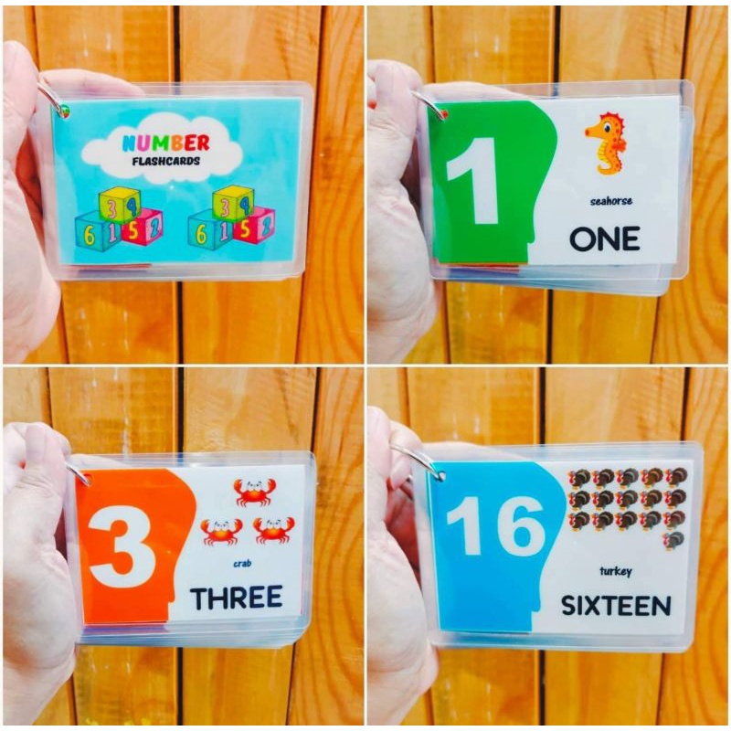 alphabet shapes body parts numbers laminated educational flashcards for ...