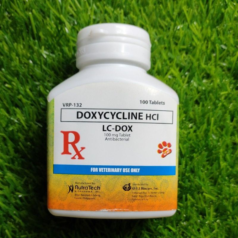 LC DOXY ANTIBACTERIAL 100mg ( Per Tablet) | Shopee Philippines