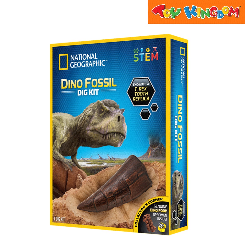 National Geographic Dino Fossil Dig Kit | Shopee Philippines