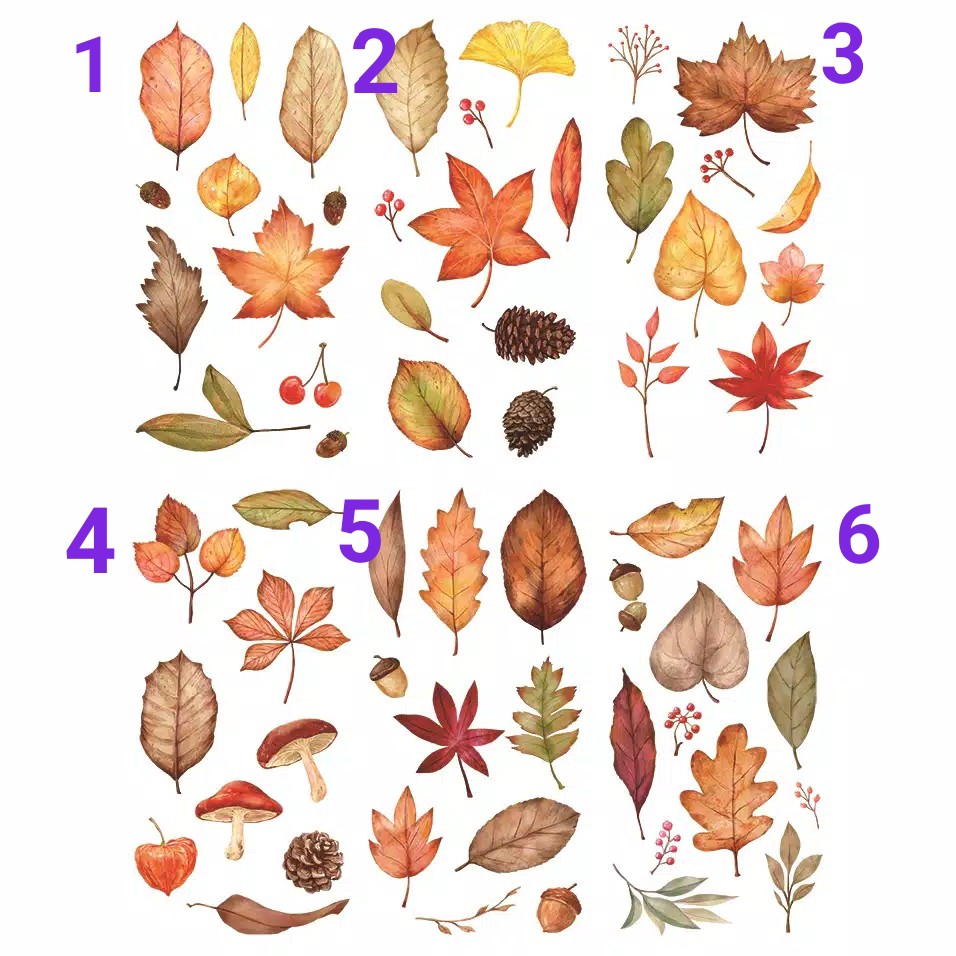 Dry LEAVES Decorative Stickers Scrapbooking Journal Stickers (KO ...