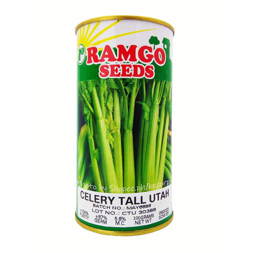 Ramgo Seeds Tin Can Celery Tall Utah 100g GDSFPH_S4 | Shopee Philippines