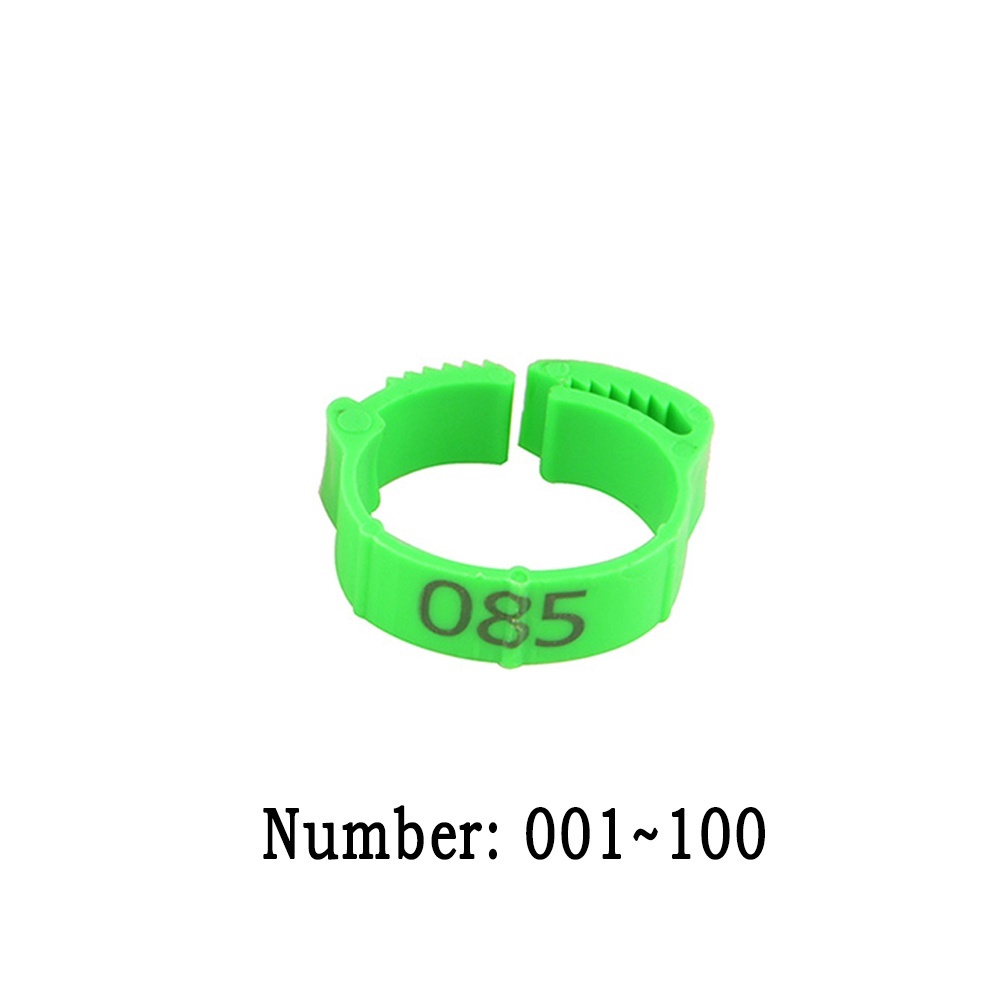 100pcs Chicken Leg Band Ring Multicolor Poultry Leg Band for Chicken ...
