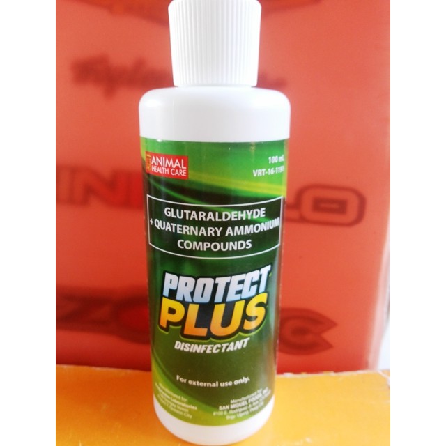 PROTECT PLUS DISINFECTANT 100 ml | Shopee Philippines