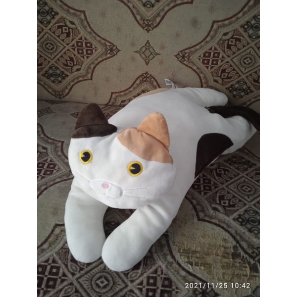 MINISO LIFE CAT/CAT DOLL | Shopee Philippines