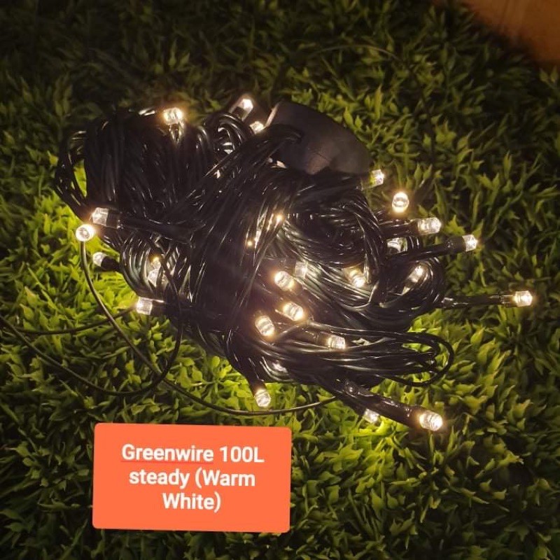 LED 100L Christmas Lights Green Wire Mabuhay Star (STEADY & BLINKER ...