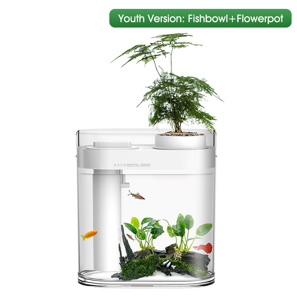 Desgeo Amphibious Fishbowl Ecological Viewing Flower & Fish Cultivation ...