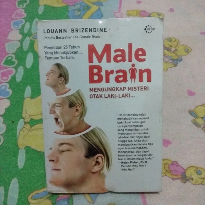 Male BRAIN book reveals the mystery of the boy's BRAIN | Shopee Philippines