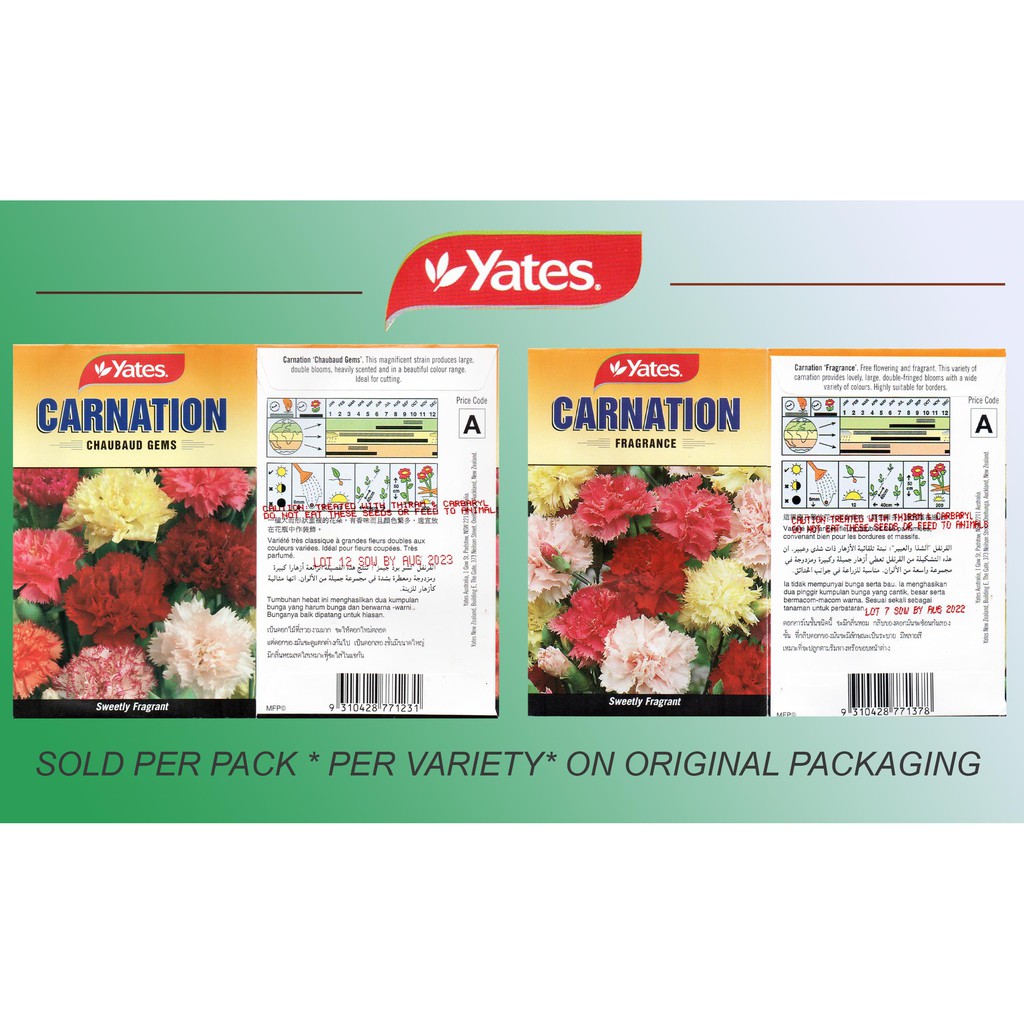 Yates YPF Seeds Carnation - Sold Per Pack Per Variety (ORIGINAL ...