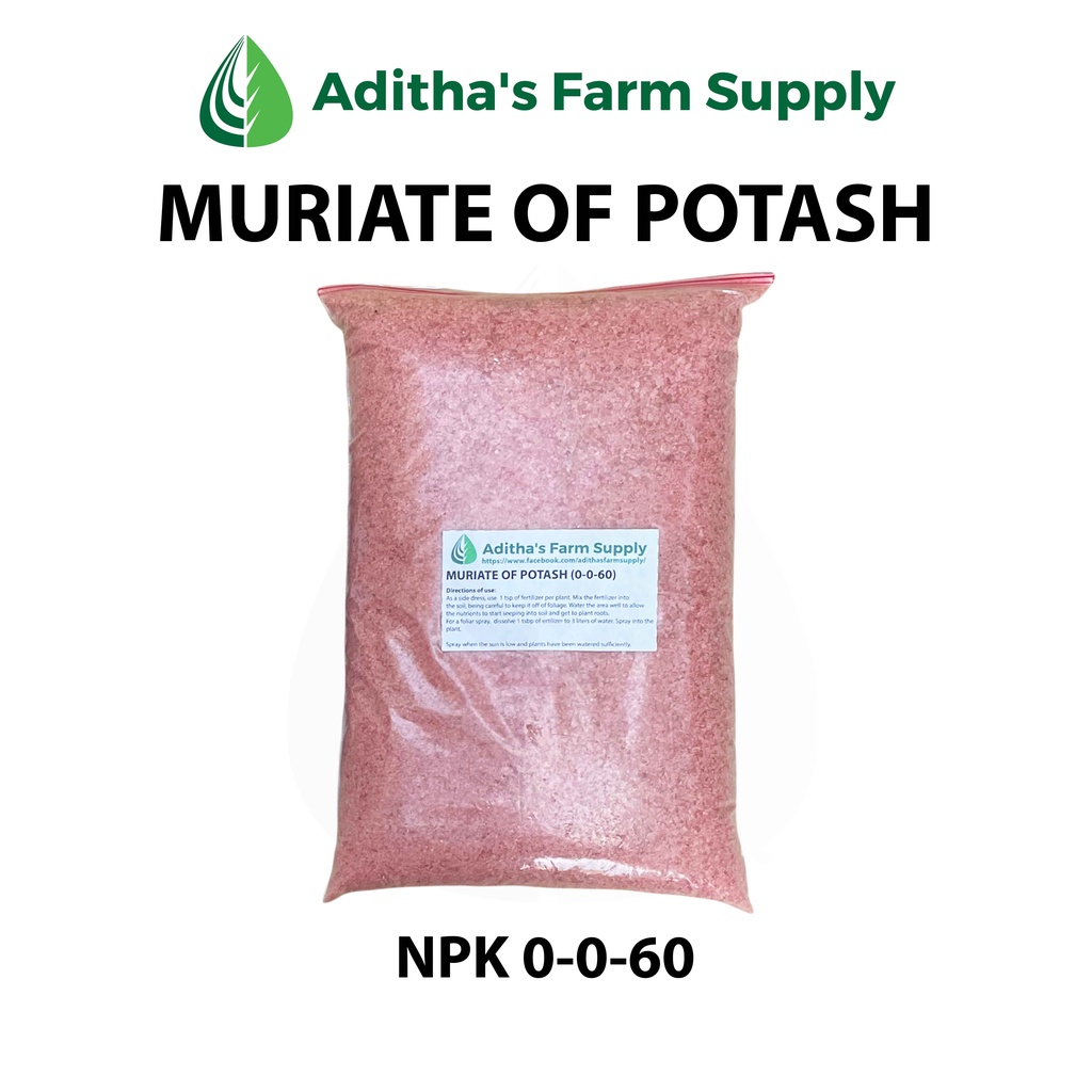 Muriate of Potash Fertilizer (NPK 0-0-60) 200 grams/1 kilo by Aditha's ...