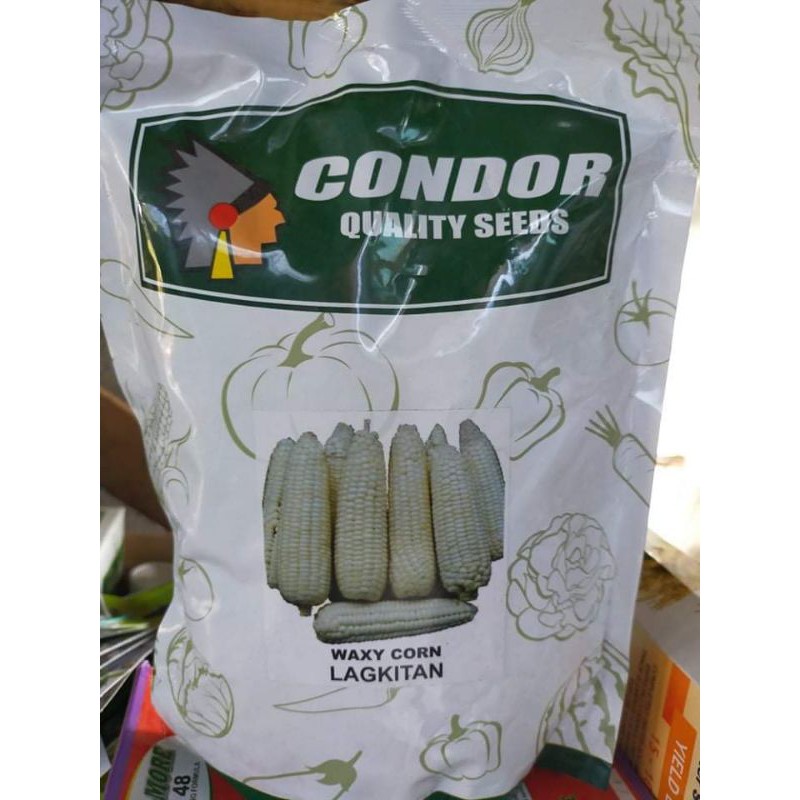 WAXY CORN LAGKITAN KILO CONDOR (new packaging) | Shopee Philippines