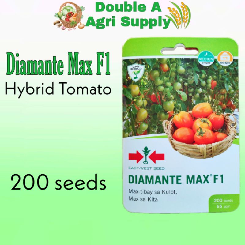 Diamante Max F1 Hybrid Tomato Grow Pack - East West Seed | Shopee ...