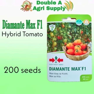 diamante - Best Prices and Online Promos - Oct 2025 | Shopee Philippines