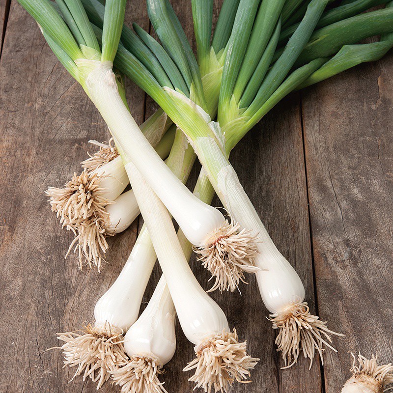 Spring Onion Seeds 6grams / Scallion / Bunching Onion Dahong Sibuyas ...