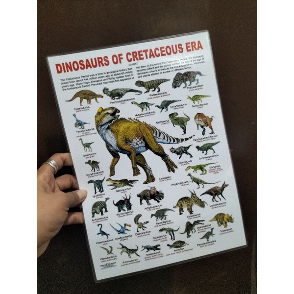 Laminated Educational Chart | Shopee Philippines Laminated Educational Chart | Shopee Philippines