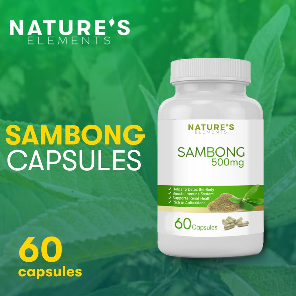 Organic Natural Sambong Capsule (60 Capsules) Anticancer For ...