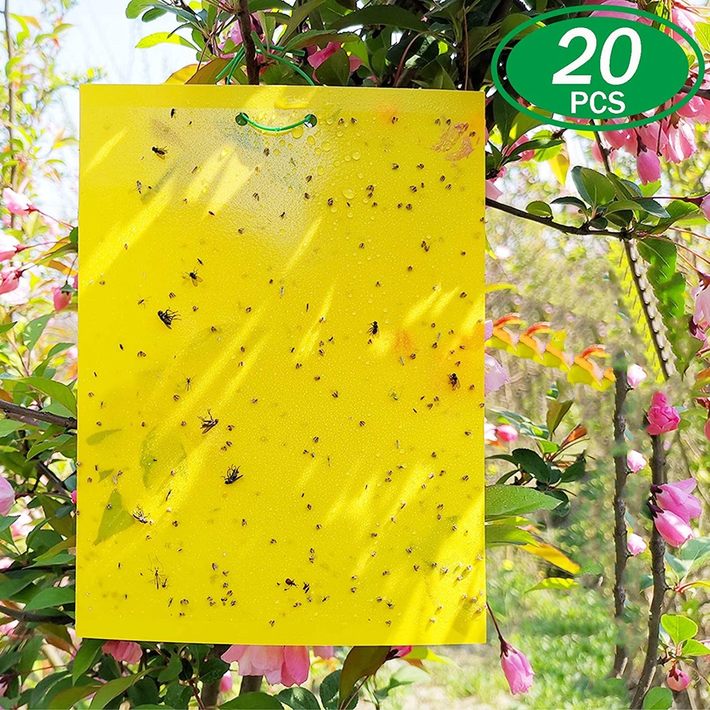 Dual-Sided Yellow Sticky Traps Plastic Sheet Fly For Mosquitoes Insect ...