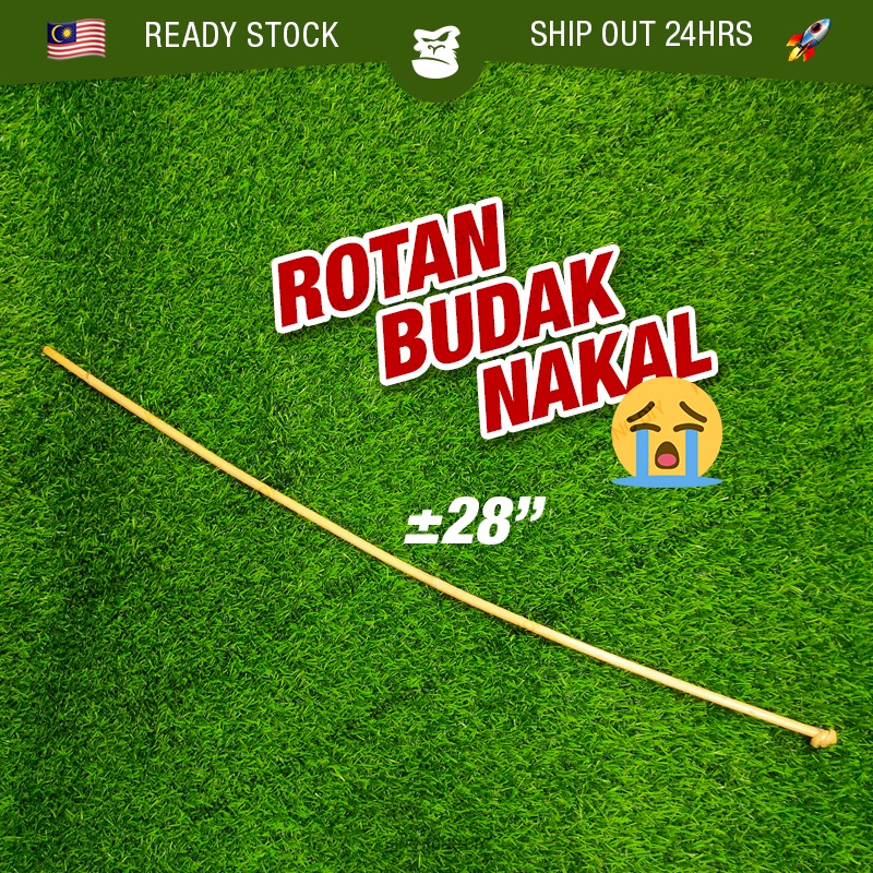ROTAN BUDAK NAKAL Natural Sega Rattan Stick Cane Study Homework Tough ...
