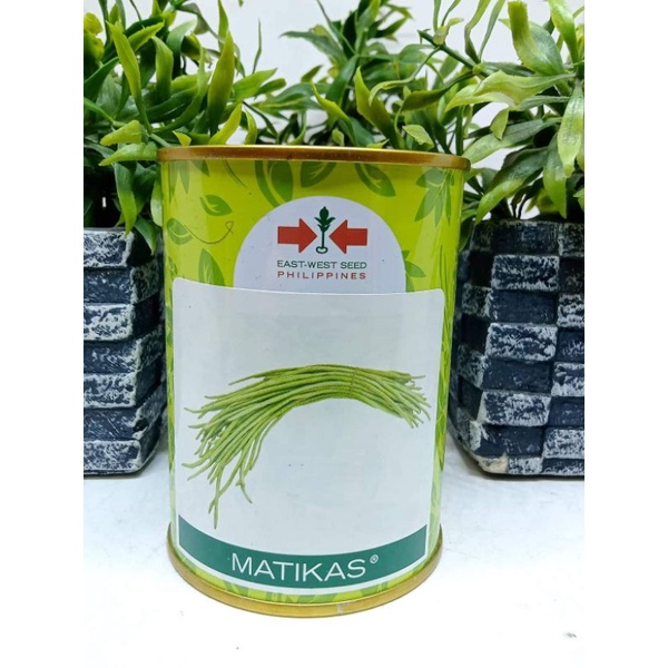 East-West Seed Matikas Sitaw 100g | Shopee Philippines