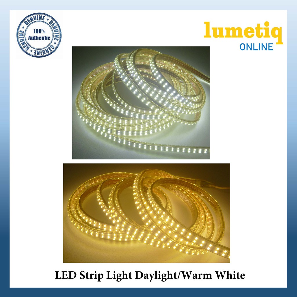 Double LED Strip Light 2835 Daylight/Warm White (SOLD PER METER ...