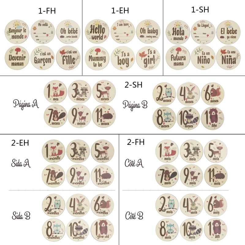 mtt 6 Pcs Cartoon Animal Printed Gender Month Cards Newborn Monthly ...
