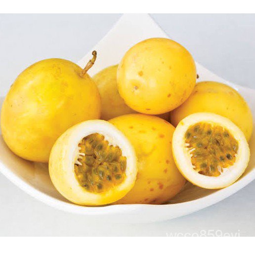 Passion Flower Seeds “Melinda” Theflower seeds//Seeds Plants Fruits ...