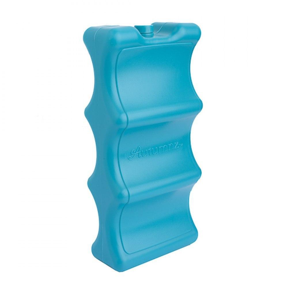 Autumnz - Premium Contoured Ice Pack (1pc) | Shopee Philippines