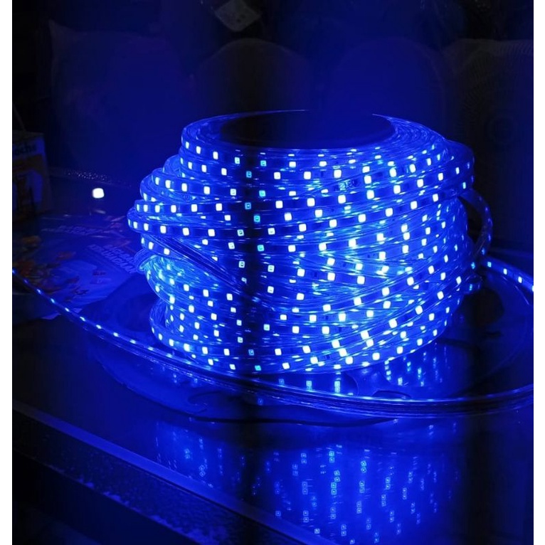 Blue LED Strip Lights / Color LED Strip (Per Meter) | Shopee Philippines