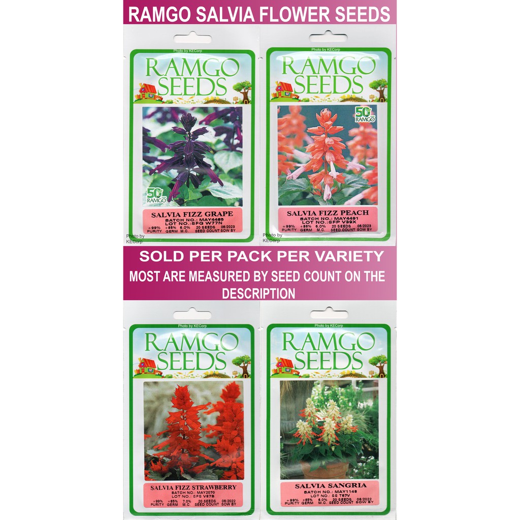 Ramgo Salvia Flower Seeds - Sold per Pack per Variety KECORP_S1 ...