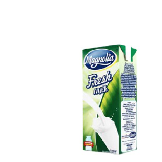 Magnolia Fresh Milk 250mL | Shopee Philippines