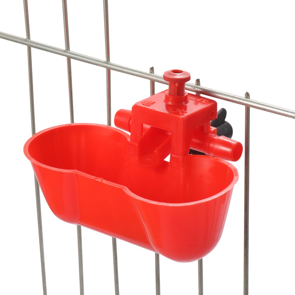 1 Set Chicken Automatic Waterer Quail Pigeon Parrot Drinking Waterer ...