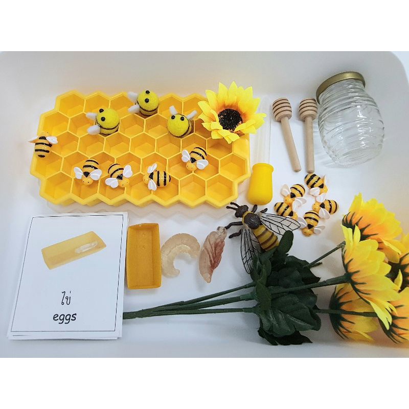 Honey Bee Play Set sensoryplay Life Cycle | Shopee Philippines