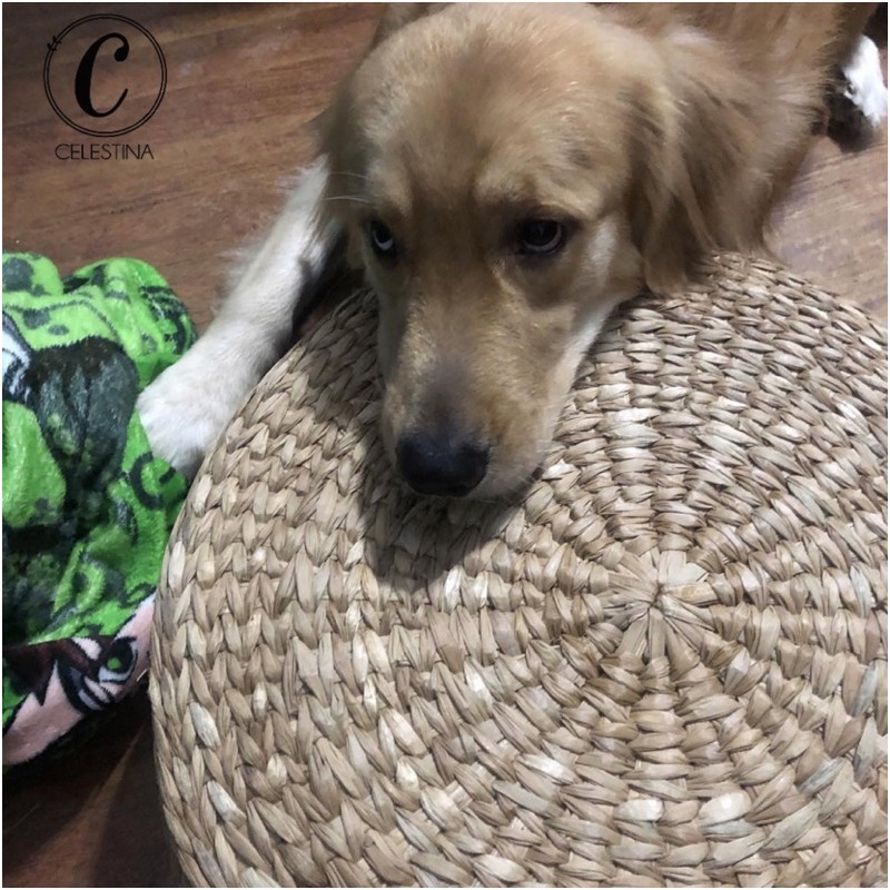 SEAGRASS NATIVE OTTOMAN | Floor Cushion| Rustic Boho | Floor Pillow ...