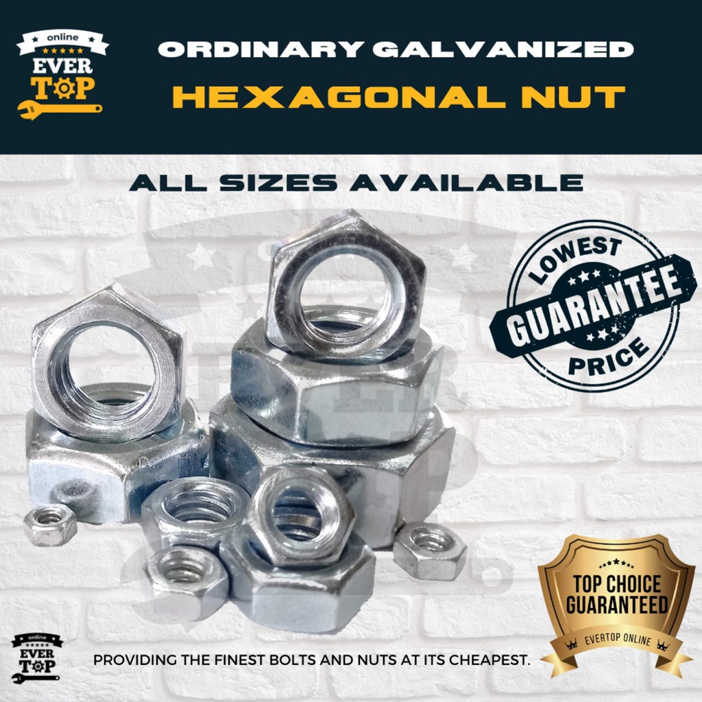 10/50/100 PCS GALVANIZED HEX NUT ORDINARY HEXAGONAL GI NUT | EverTop ...