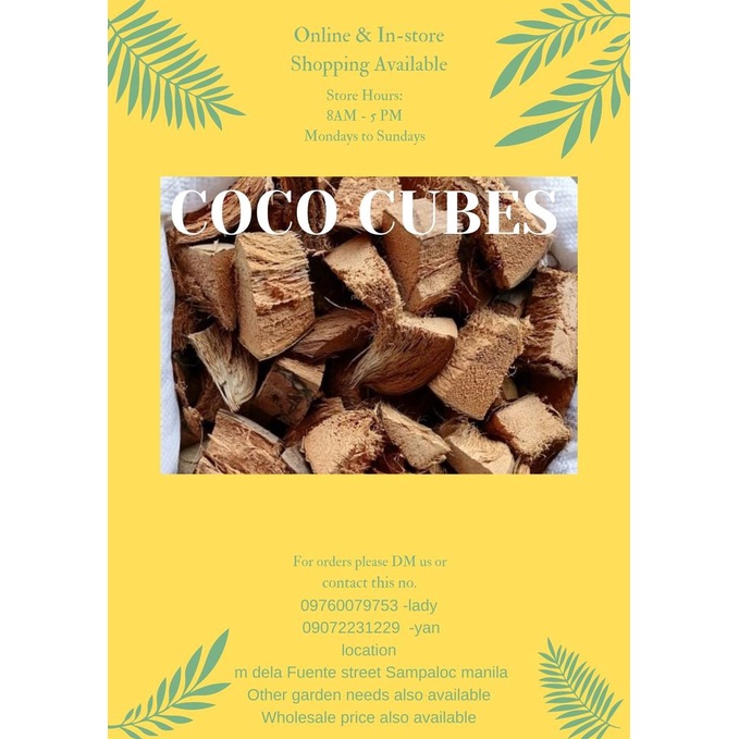 Coco Cubes for Sale (1L - 95pcs est per liter) | Shopee Philippines