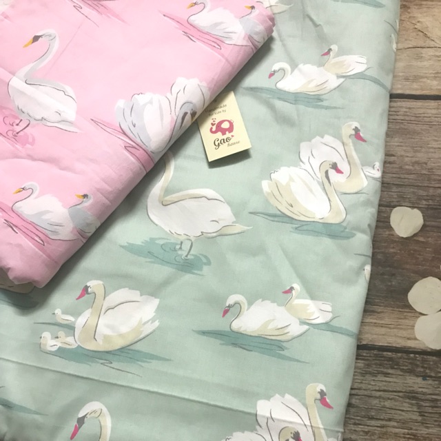 Coarse clay (Bao Ngoc) | Shopee Philippines