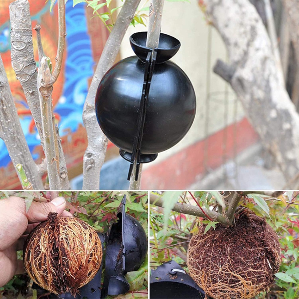 LHK 1pcs S/M/L Black Plant rooting device high pressure propagation ...