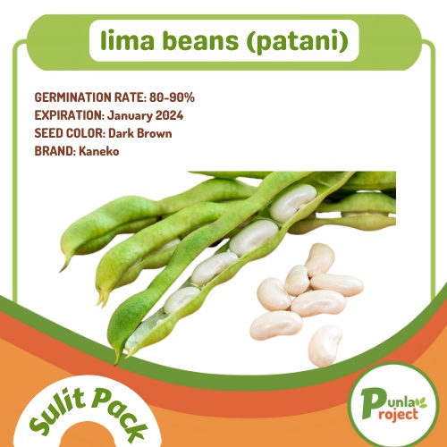 Lima Bean PATANI 5seeds vegetable repacked seeds gardening | Shopee ...