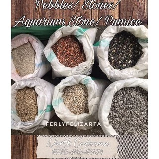 Shop pebbles for Sale on Shopee Philippines