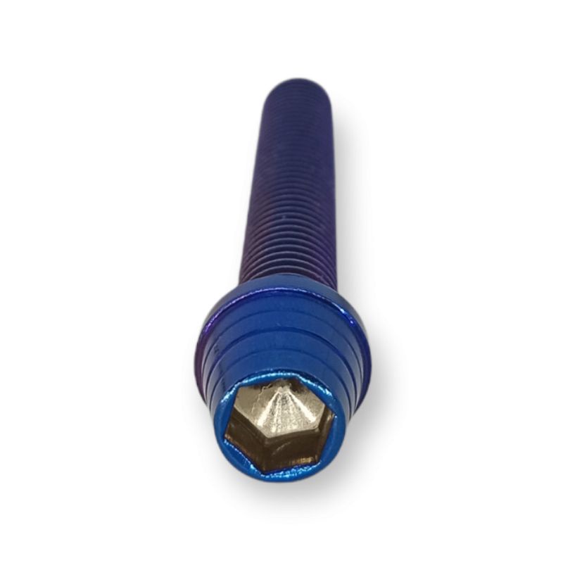 HENG BOLTS 8x55 TITANIUM | Shopee Philippines