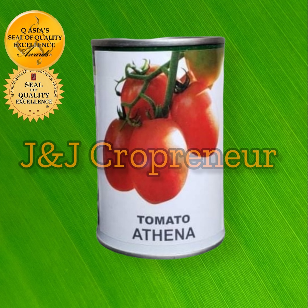 ATHENA (18000 SEEDS /50 GRAMS) OPV TOMATO SEEDS BY CONDOR SEEDS ...